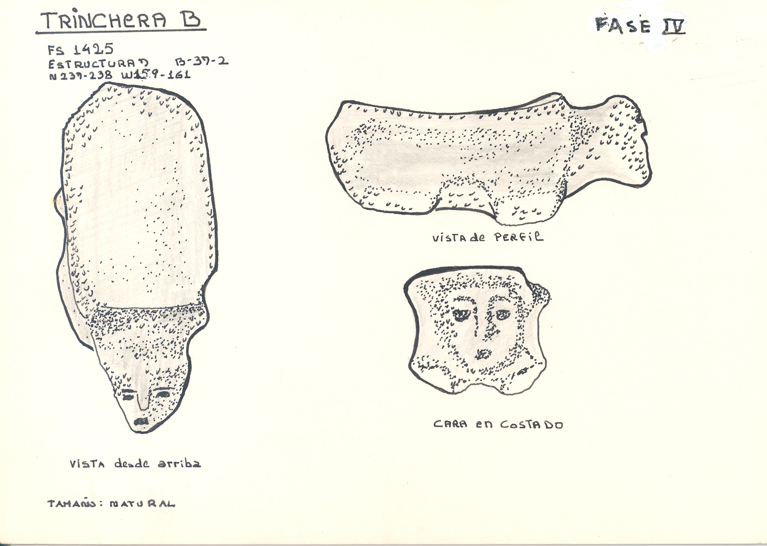 Arqueología – COMPLEJO CULTURAL REAL ALTO