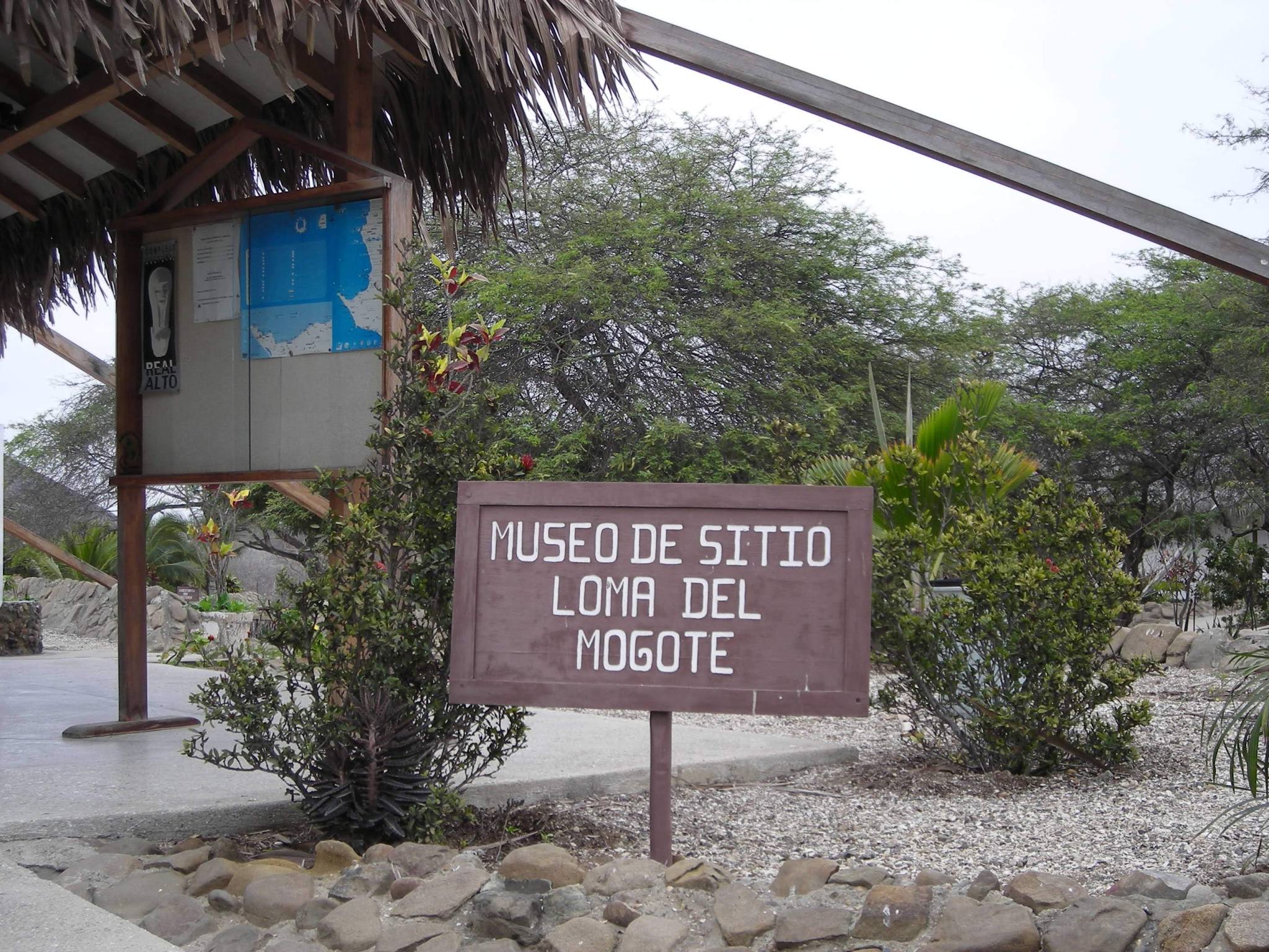 Museo – COMPLEJO CULTURAL REAL ALTO