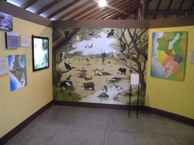 Museo – COMPLEJO CULTURAL REAL ALTO