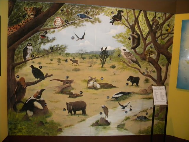 Museo – COMPLEJO CULTURAL REAL ALTO