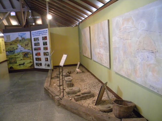 Museo – COMPLEJO CULTURAL REAL ALTO