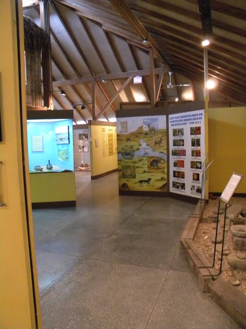Museo – COMPLEJO CULTURAL REAL ALTO