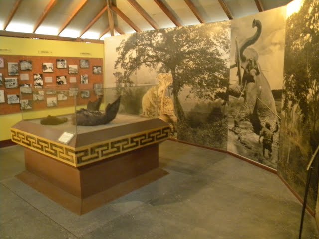 Museo – COMPLEJO CULTURAL REAL ALTO