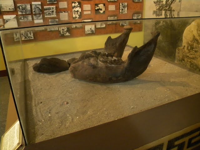 Museo – COMPLEJO CULTURAL REAL ALTO