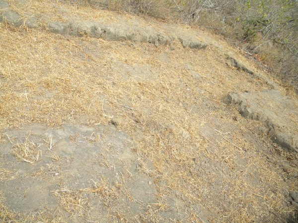 Arqueología – COMPLEJO CULTURAL REAL ALTO