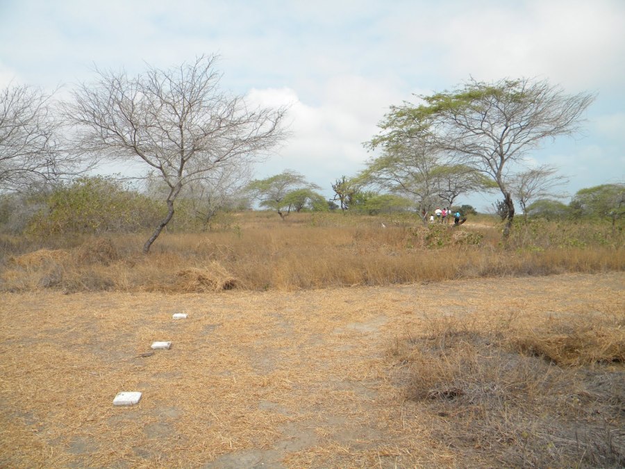 Arqueología – COMPLEJO CULTURAL REAL ALTO