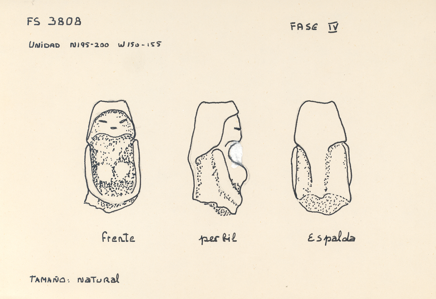 Arqueología – COMPLEJO CULTURAL REAL ALTO