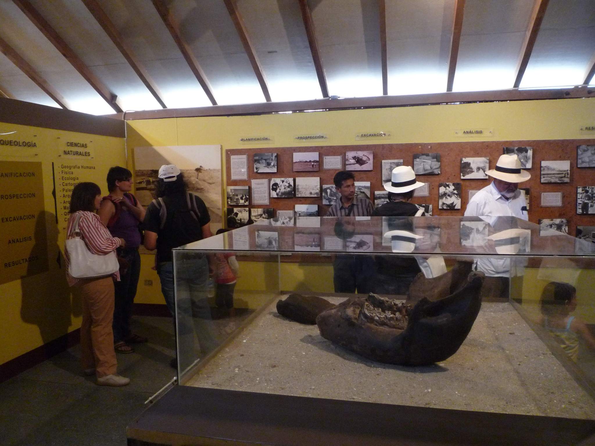 Museo – COMPLEJO CULTURAL REAL ALTO